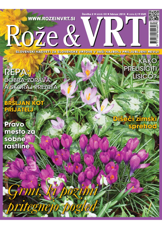 Rože & Vrt - Št. 2